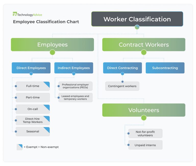 Employee Classification: HR’s Guide to Classification Compliance