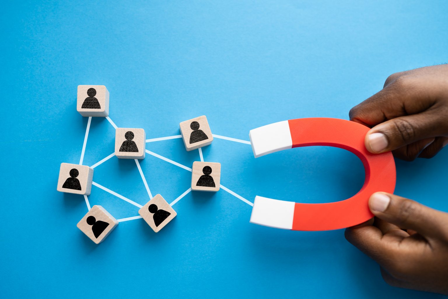 10 Best Customer Database Software Solutions