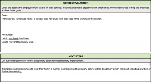 Employee Disciplinary Action Guide + Form Template